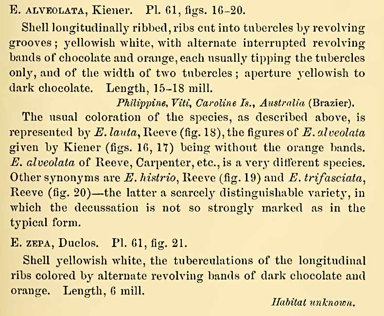 なにがどうなん？: 南の螺旋